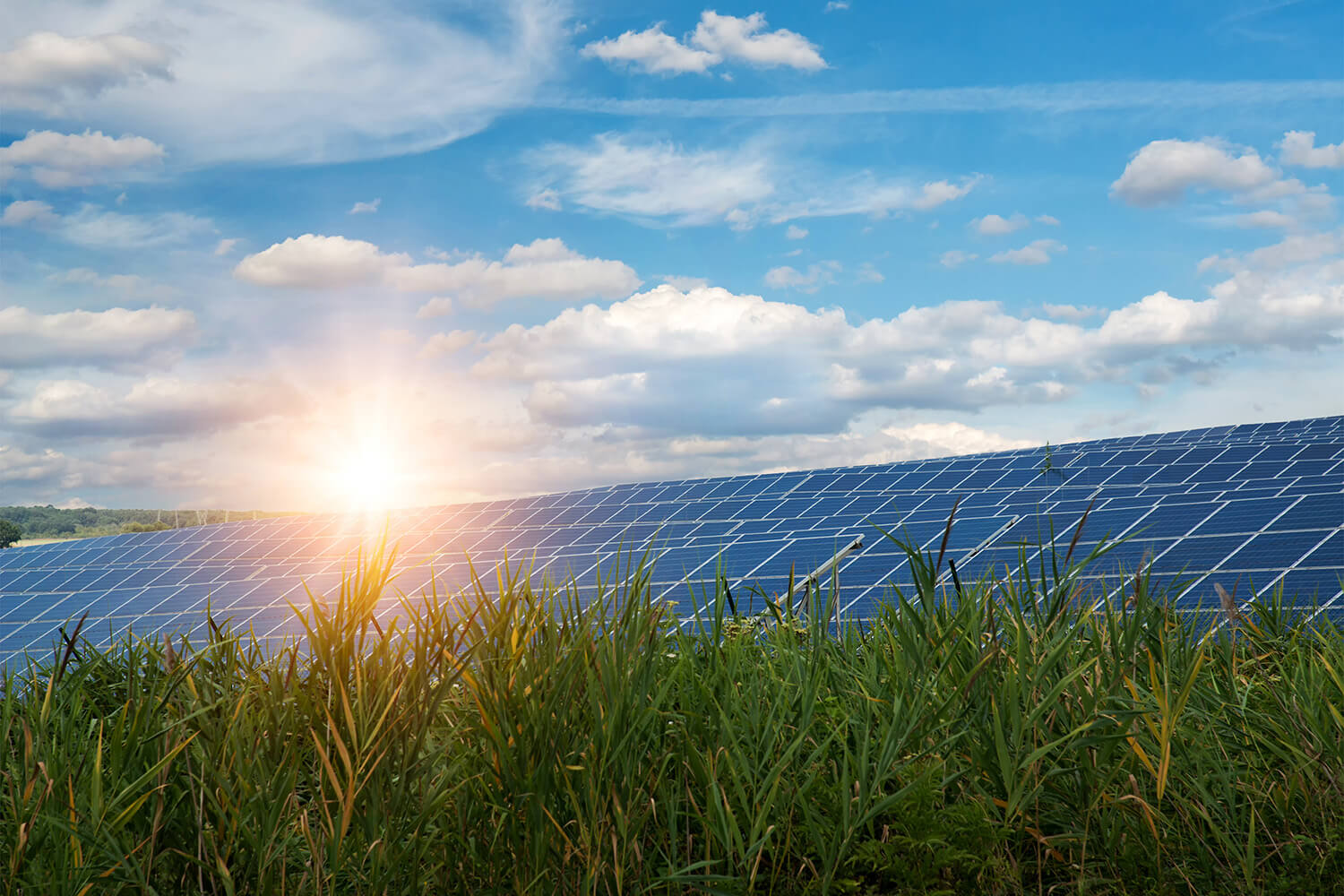 Company BELECTRIC: Official Partner of the Sun - BELECTRIC
