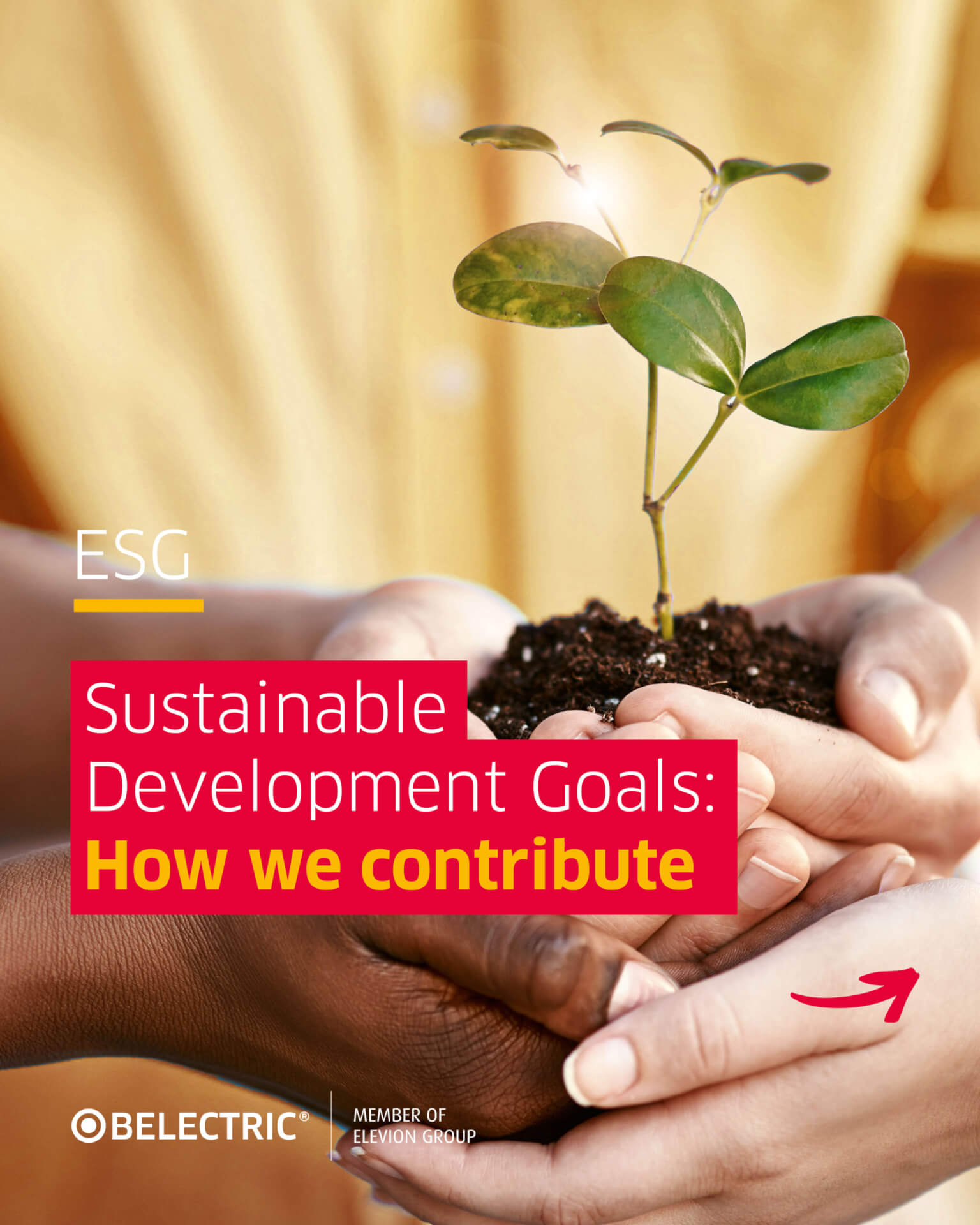 How does BELECTRIC contribute to the 17 Sustainable Development Goals ...